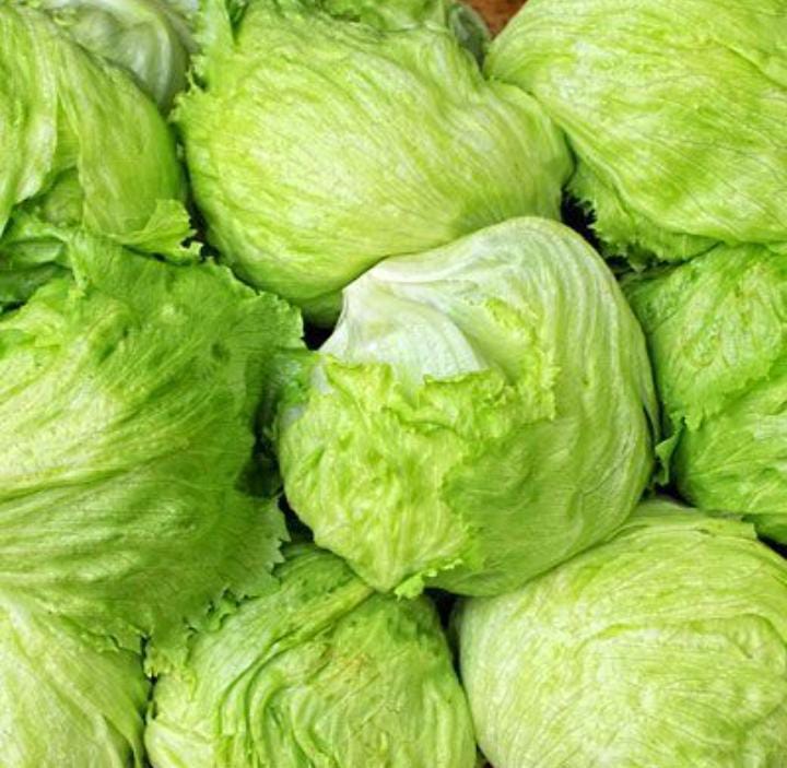 Lechuga Batavia (1ud) – Tienda Raíces